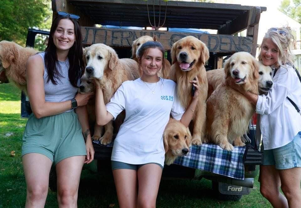 Golden Retriever Experience™ - Golden Dog Farm LLC