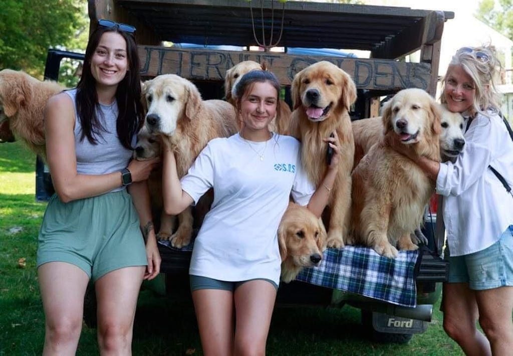 Golden Retriever Experience™ - Golden Dog Farm LLC