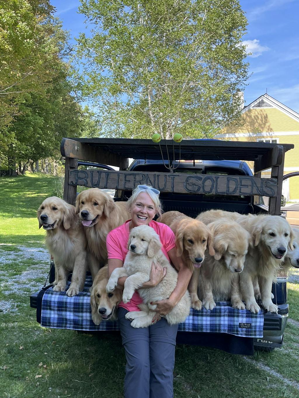 Golden Retriever Experience™ - Golden Dog Farm LLC