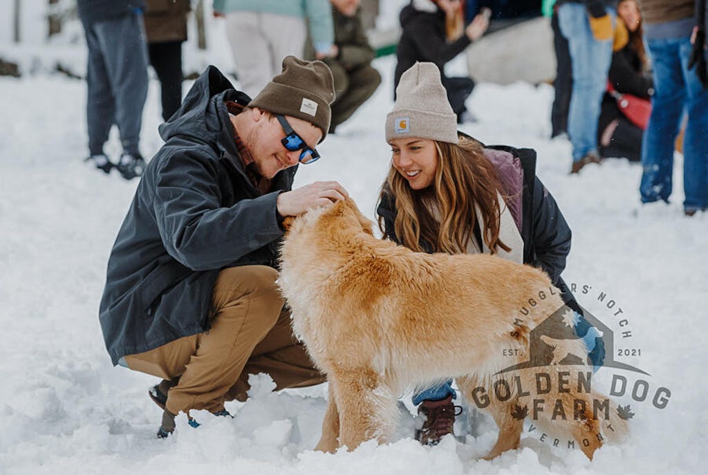 Golden Retriever Experience® - Golden Dog Farm LLC