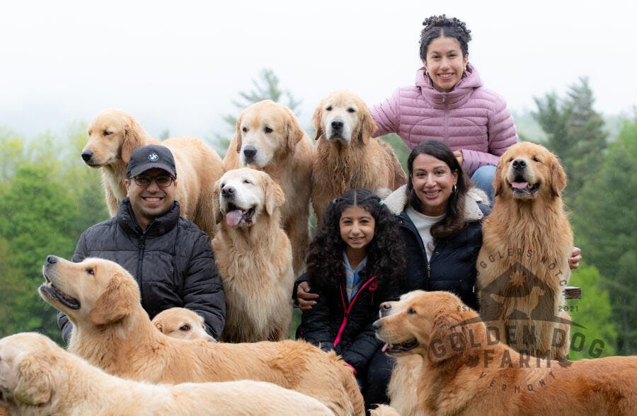 Golden Retriever Experience® - Golden Dog Farm LLC