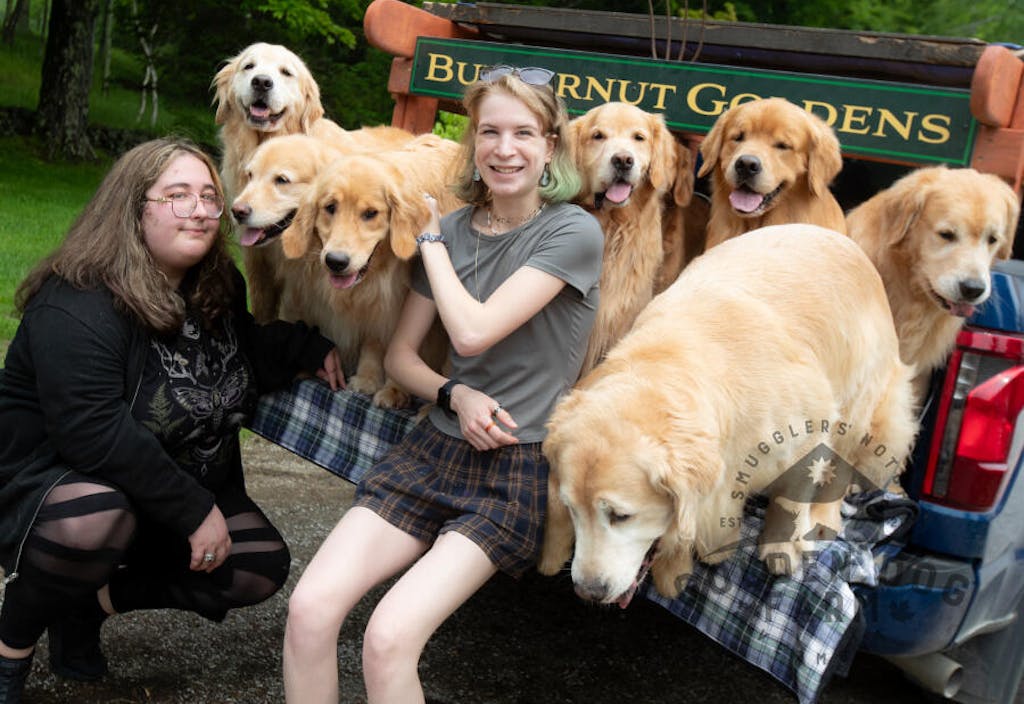 Golden Retriever Experience® - Golden Dog Farm LLC