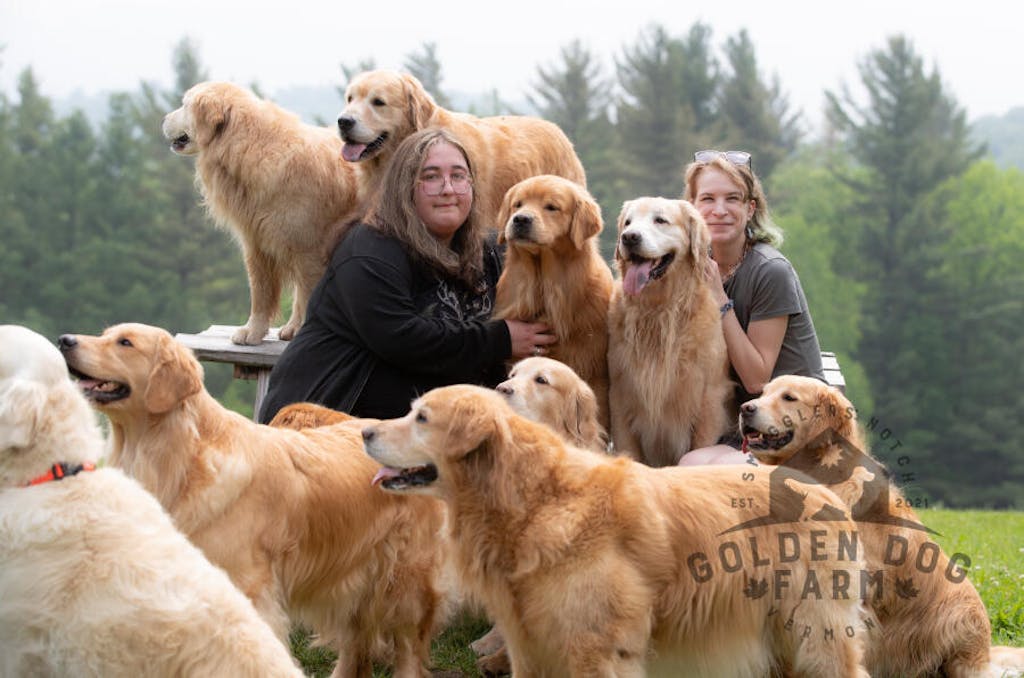 Golden Retriever Experience® - Golden Dog Farm LLC