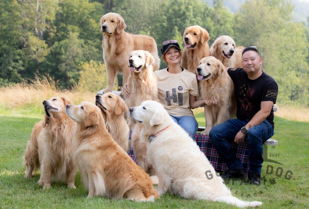 Golden Retriever Experience® - Golden Dog Farm LLC