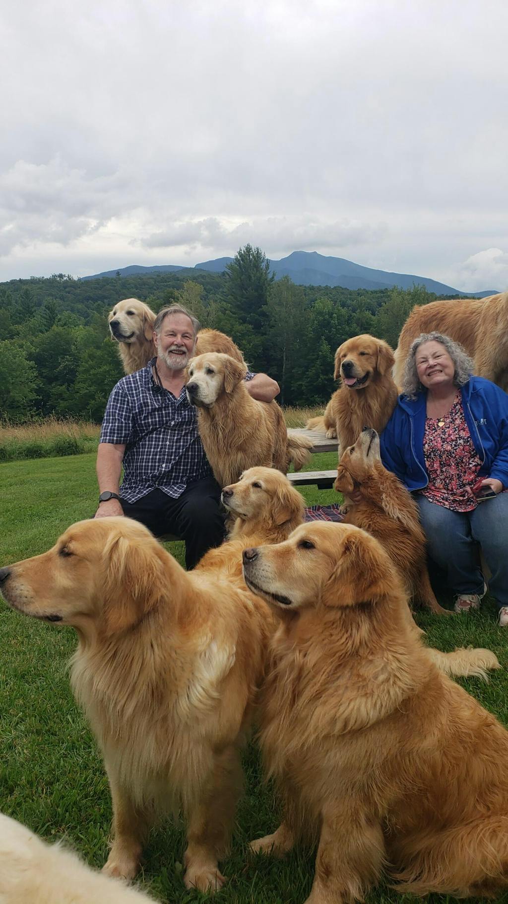 Golden Retriever Experience® - Golden Dog Farm LLC