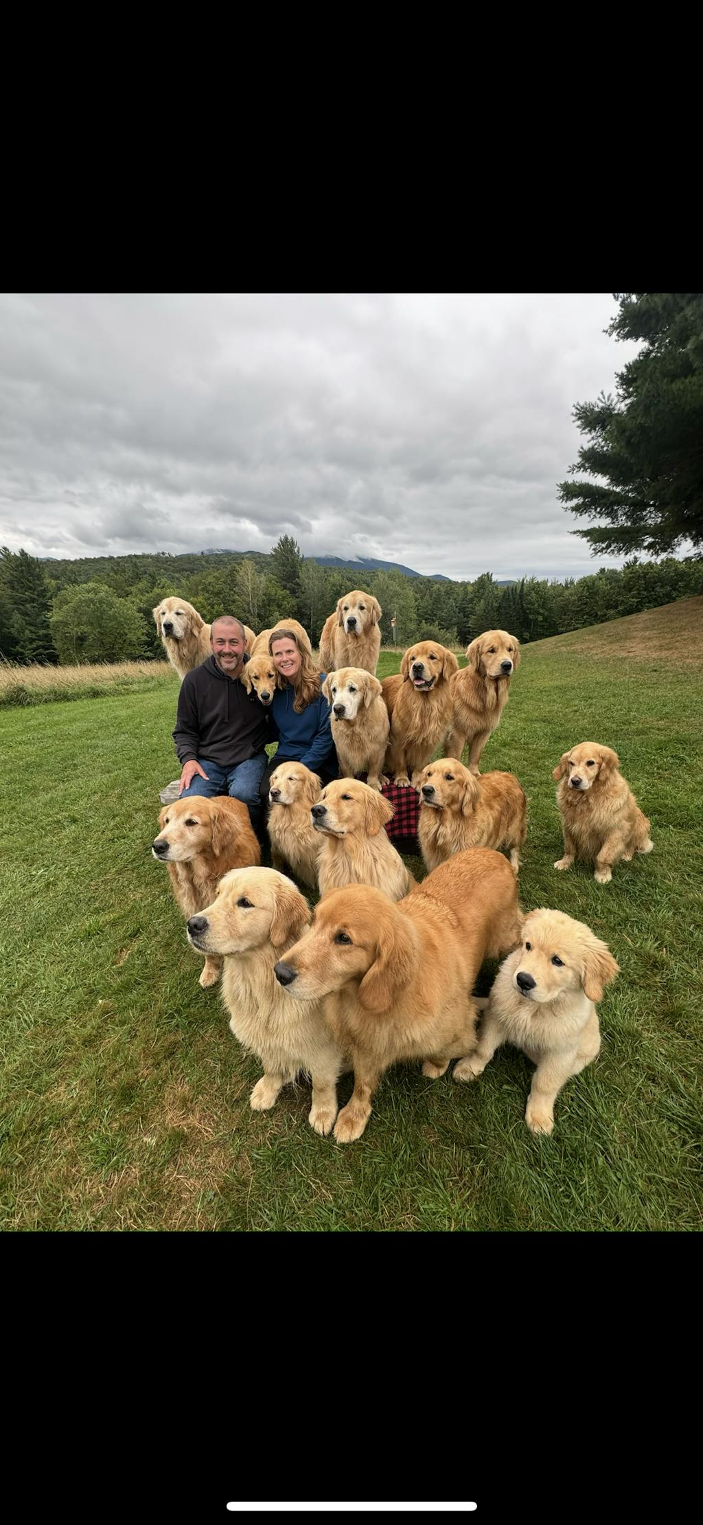 Golden Retriever Experience® - Golden Dog Farm LLC