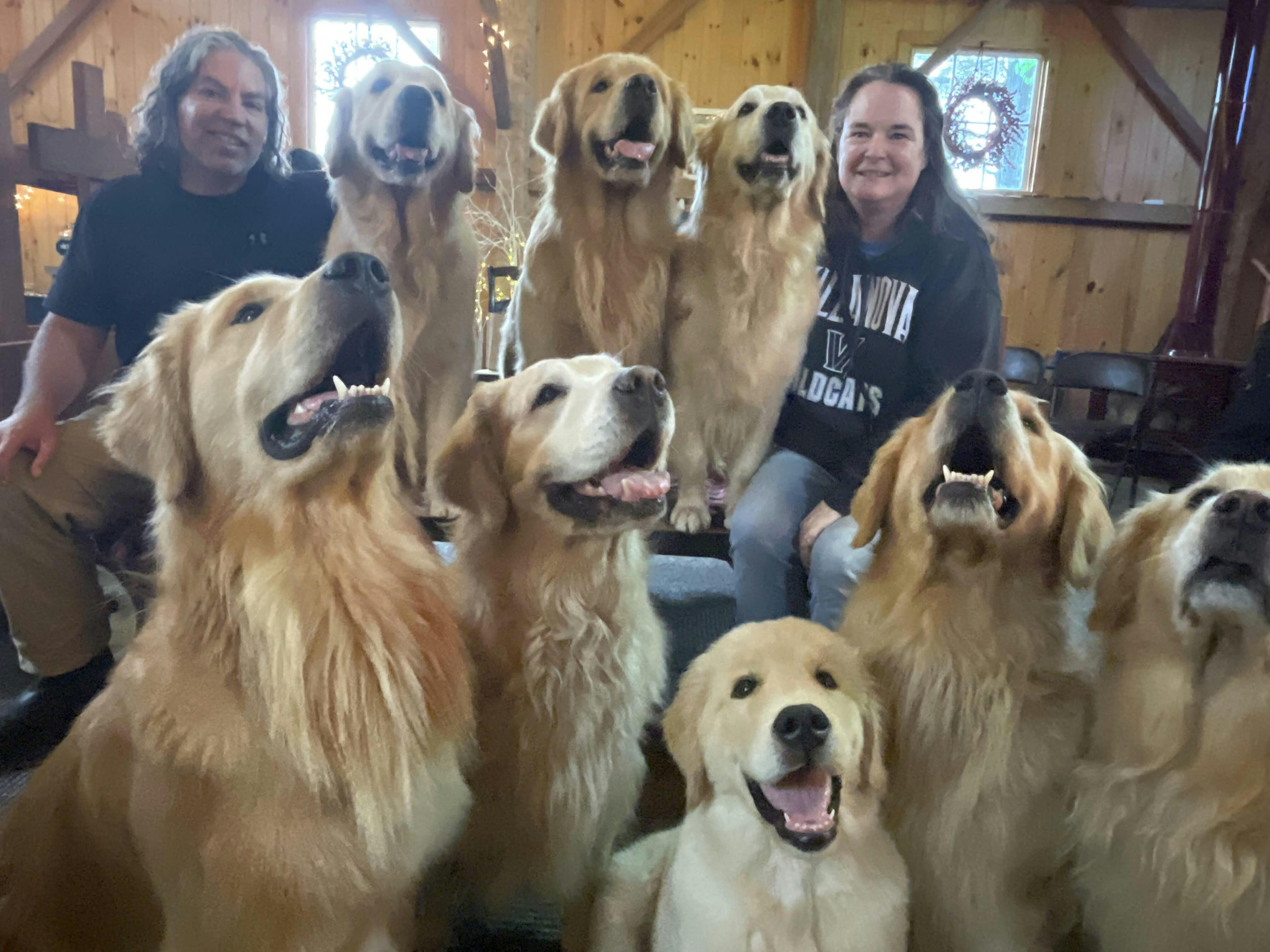 Golden Retriever Experience® - Golden Dog Farm LLC