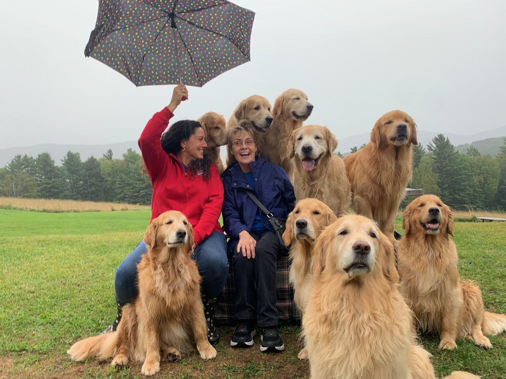 Golden Retriever Experience® - Golden Dog Farm LLC