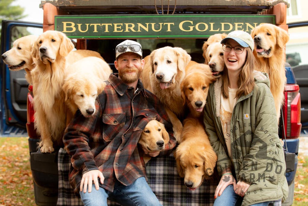 Golden Retriever Experience® - Golden Dog Farm LLC