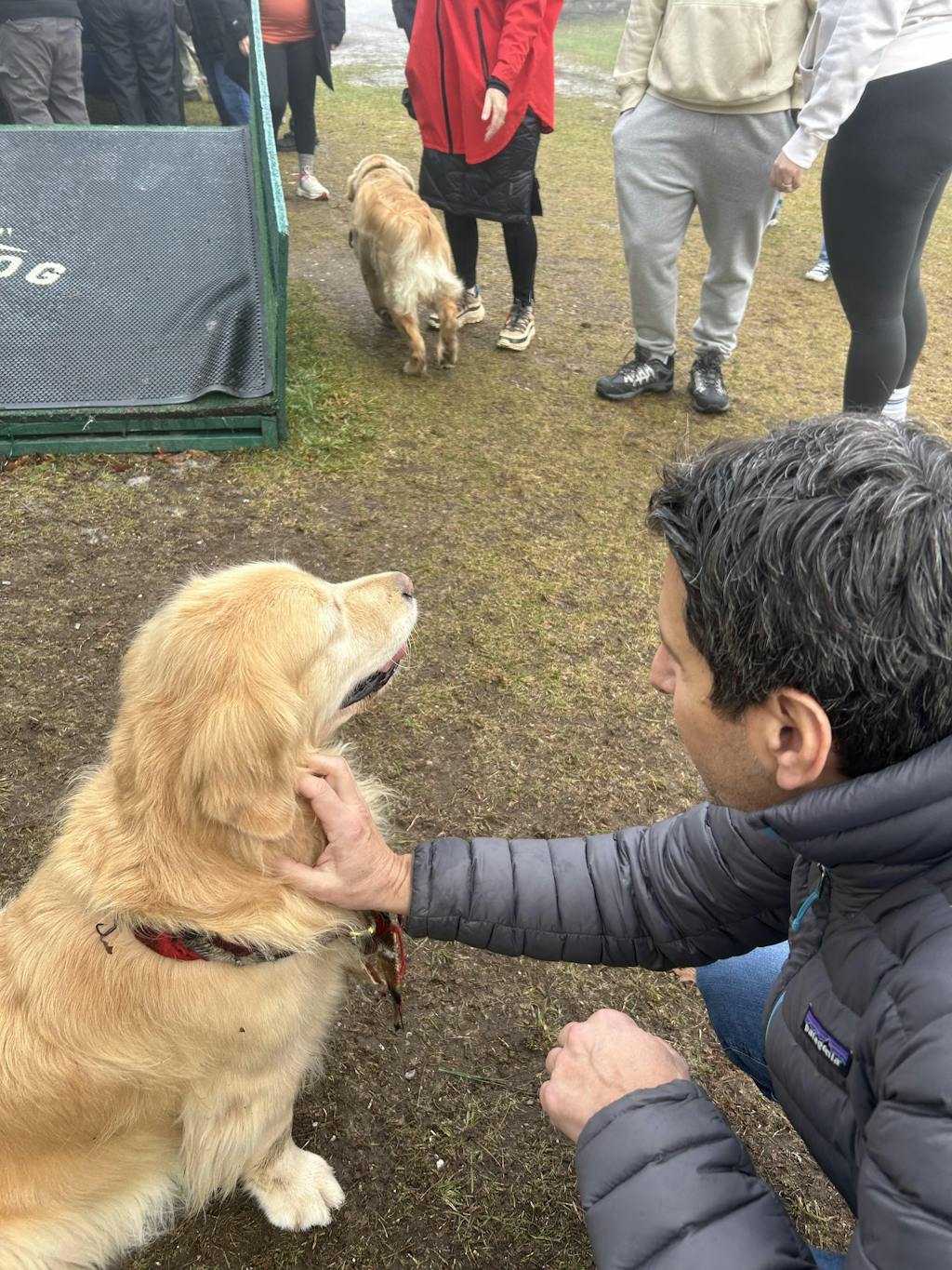 Golden Retriever Experience® - Golden Dog Farm LLC