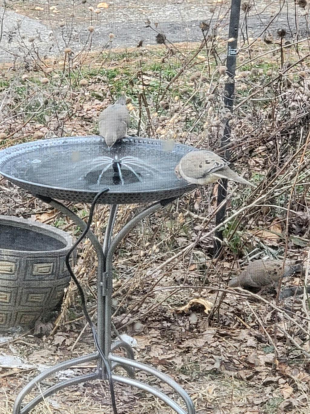 Manchester Vinyl Cupola – Black Aluminum Roof & Rooster – Good Directions