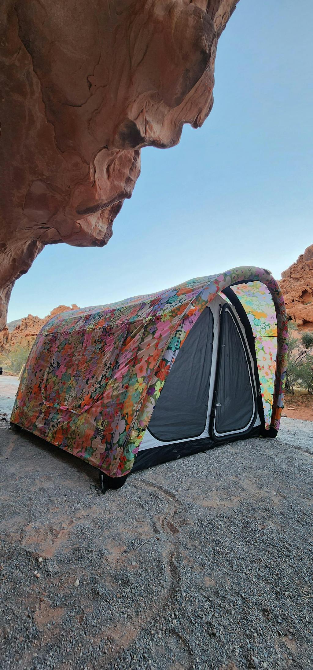 Rainbow Connection Omega Tent | Good inTents