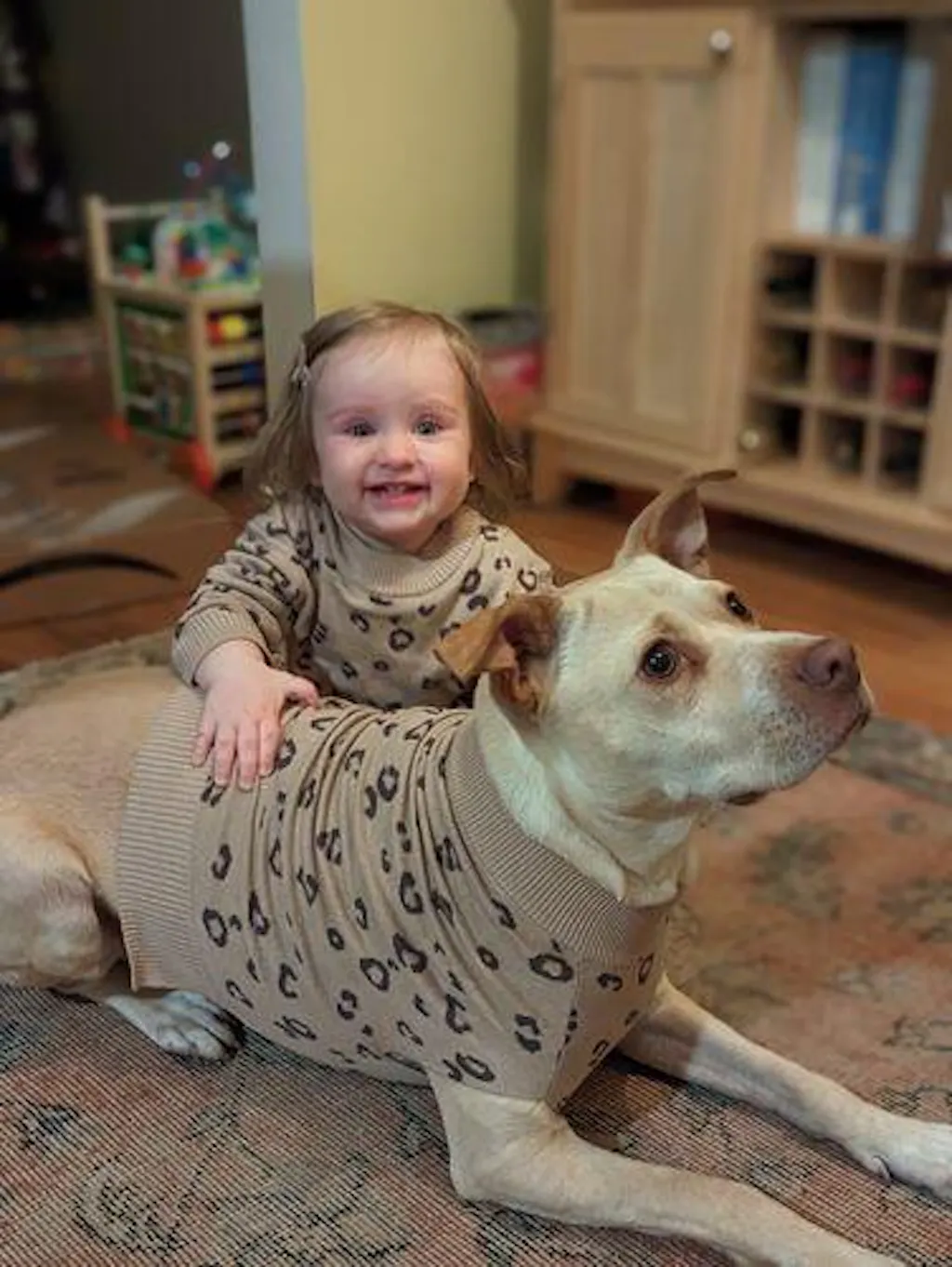 Wild One Kid Sweater by Dog Threads | Premium Dog Clothes | Good Thomas ...