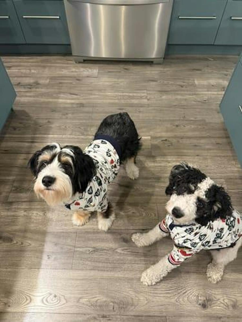 Matching Fleece Plaid Pajama Shirt by Dog Threads | Matching Dog and ...