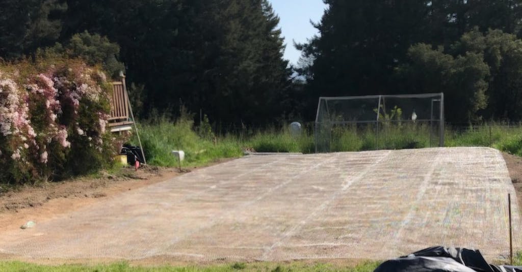 Gophers: How to Keep Them Out of Your Garden