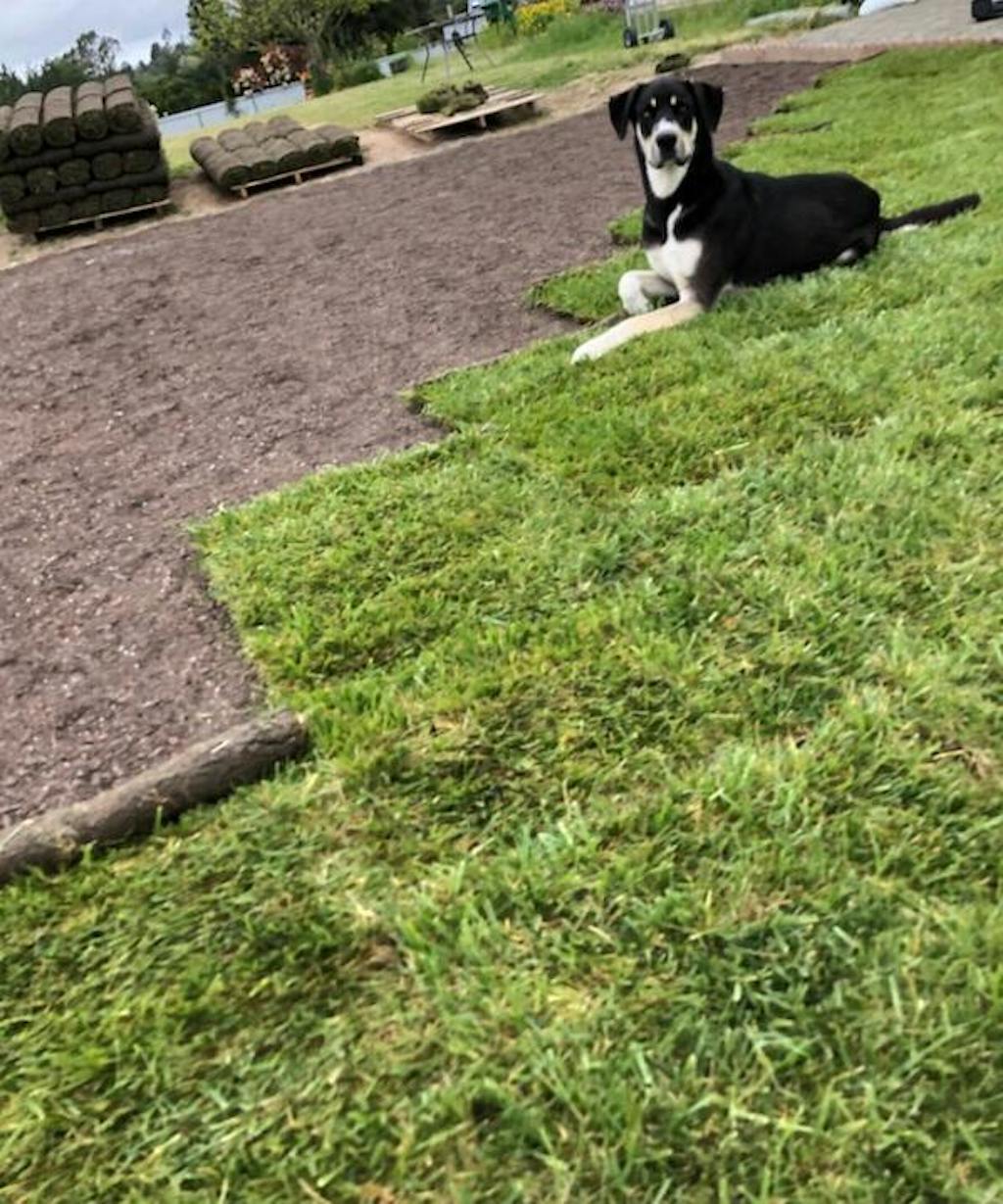 Gopher Wire Roll - Gopher Block - Heavy-Duty - Galvanized Steel Mesh