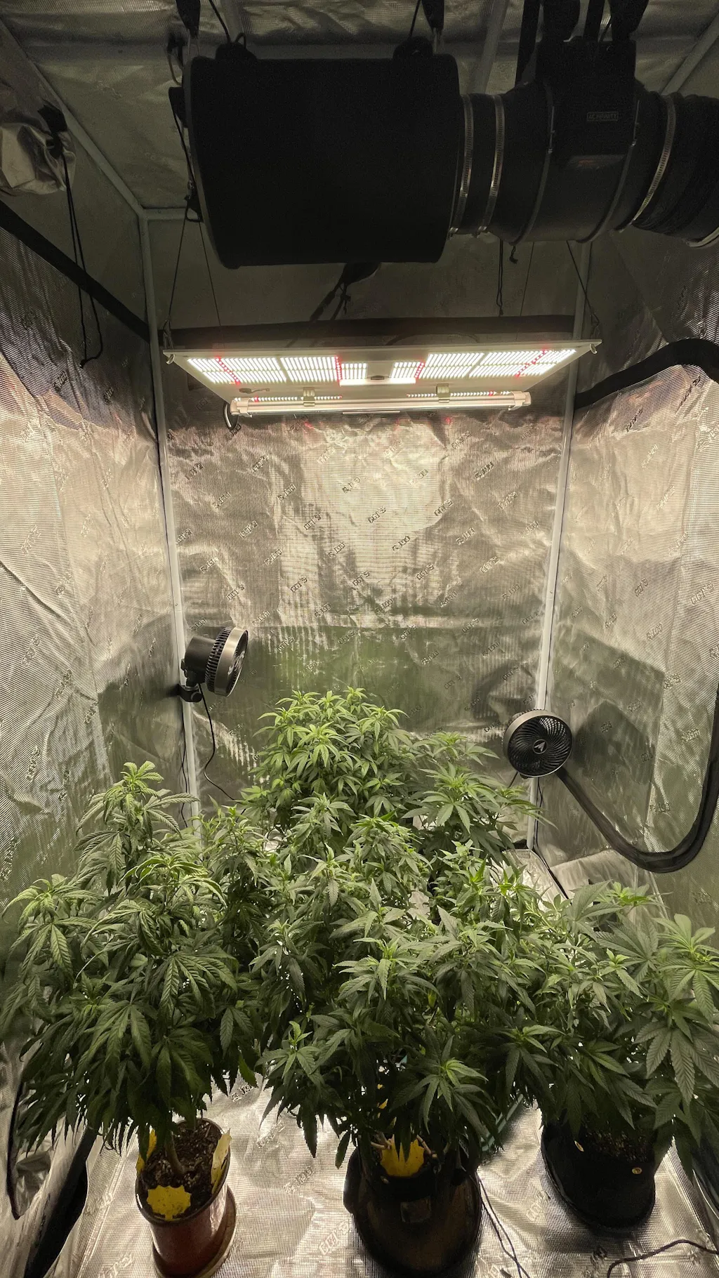 The All New Gorilla Grow Tent 4x4 – Heavy-Duty Indoor Grow Tent