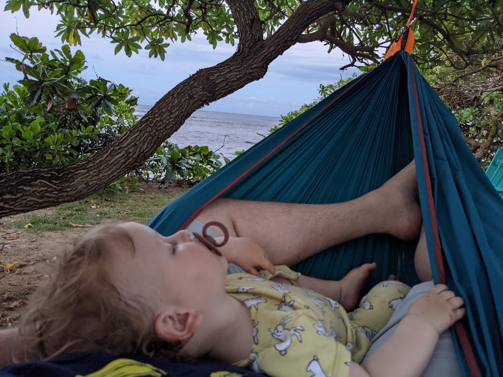 Tree Slings Hammock Hanging Kit – GrandTrunk