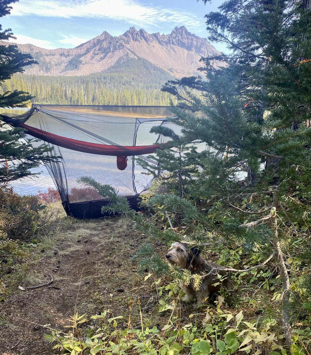 MOZZY 360 Hammock Bug Net Shelter – GrandTrunk