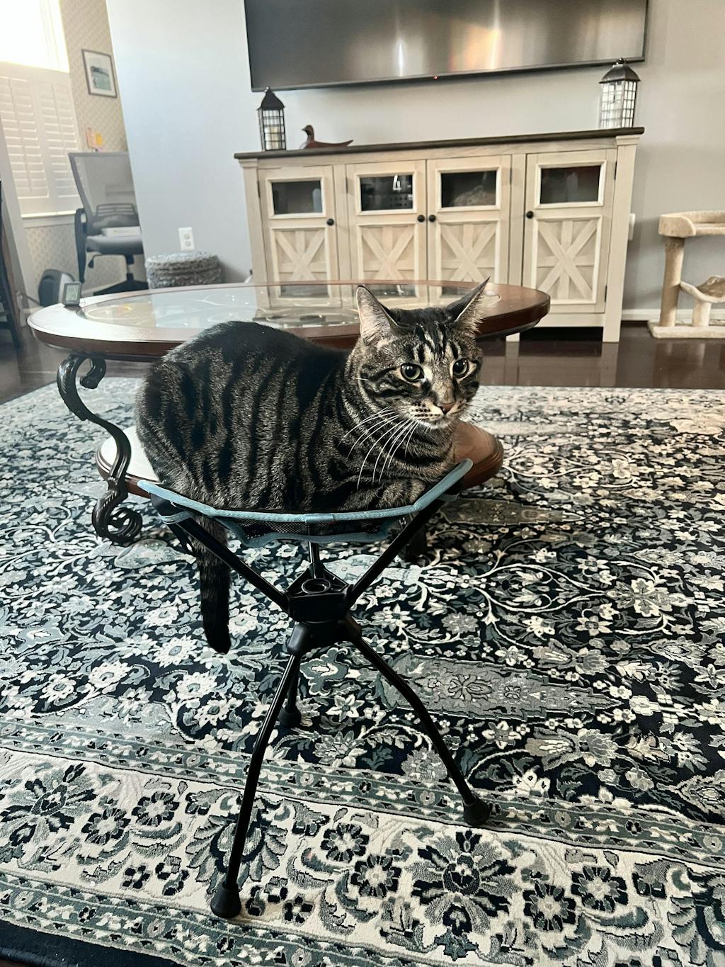 Grand Trunk | Goods For The Road | Superior Hammocks & Outdoor Gear ...