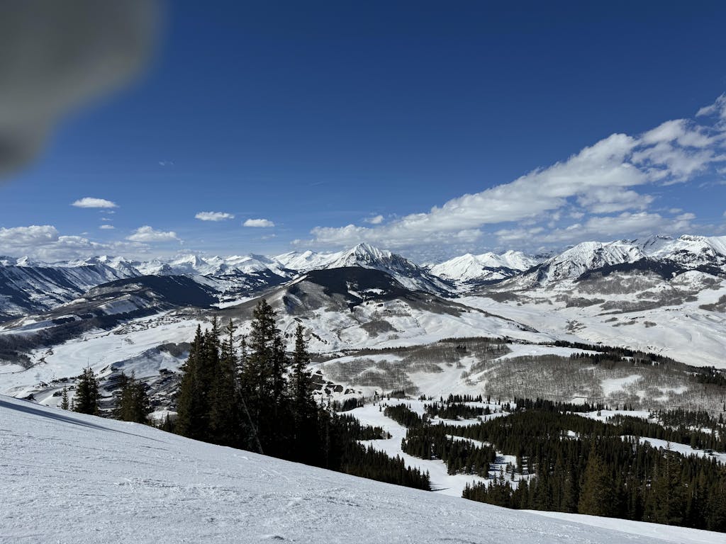 Hydraulic Gimbal for GoPro Action Camera | GravGrip V2