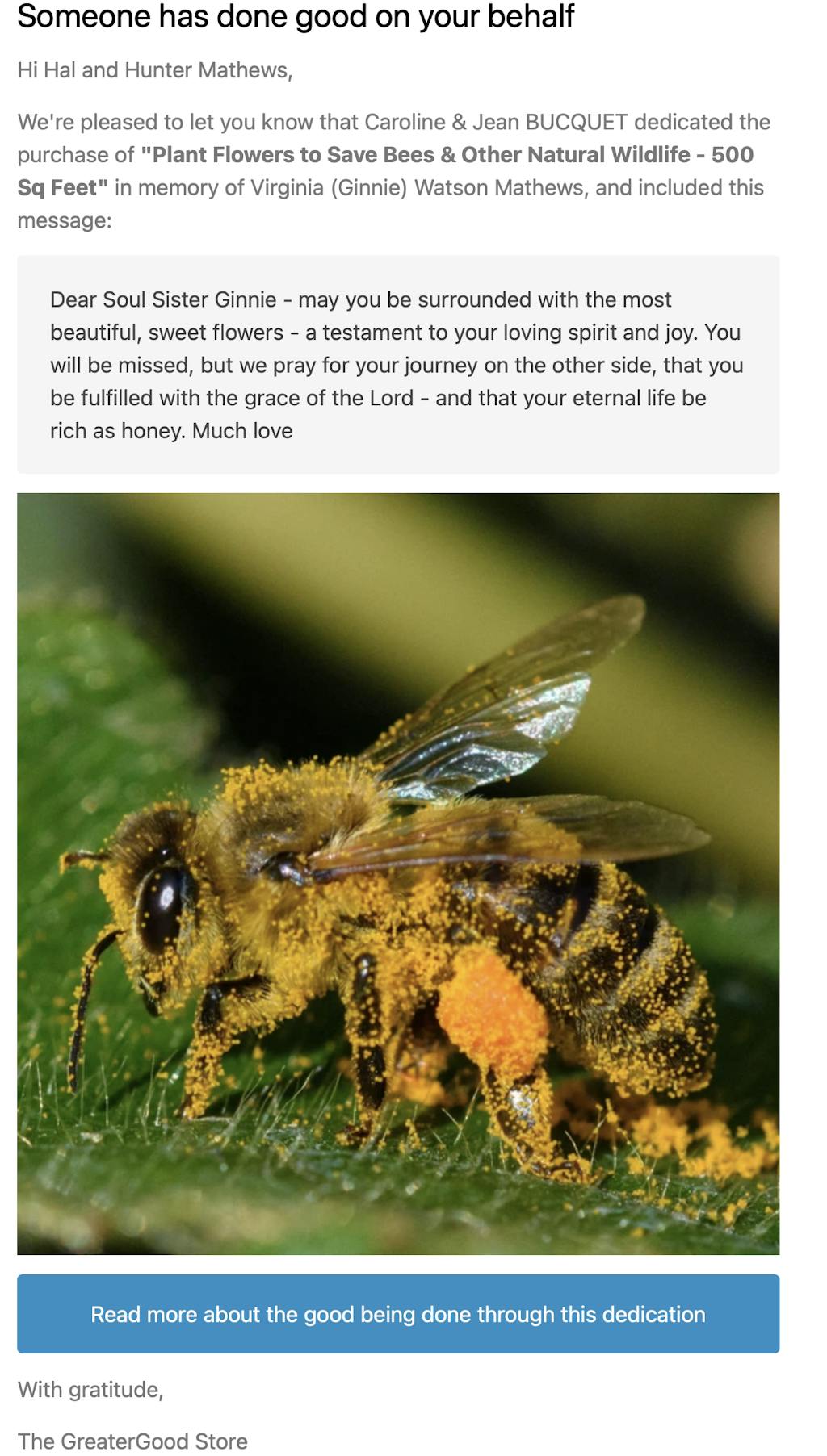 Plant Flowers to Save Bees & Other Natural Wildlife | GreaterGood