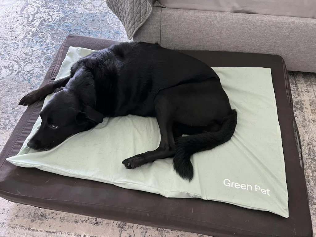 Cool Pet Pads | Pet Cooling Mat and Beds | Green Pet
