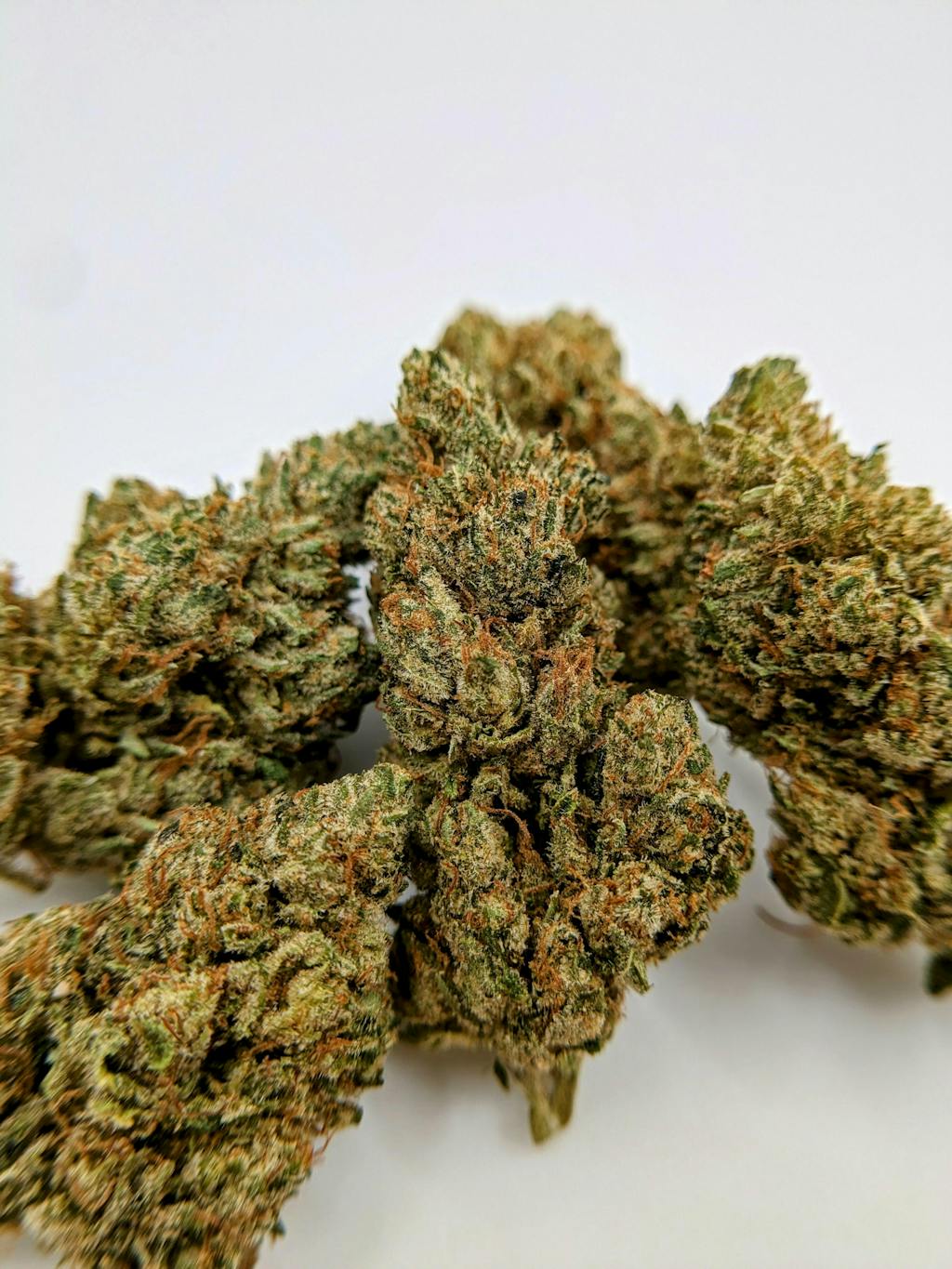 Cali Purp Indoor | Kushy Cannabis 2.0 🔥 | Dank indica strain