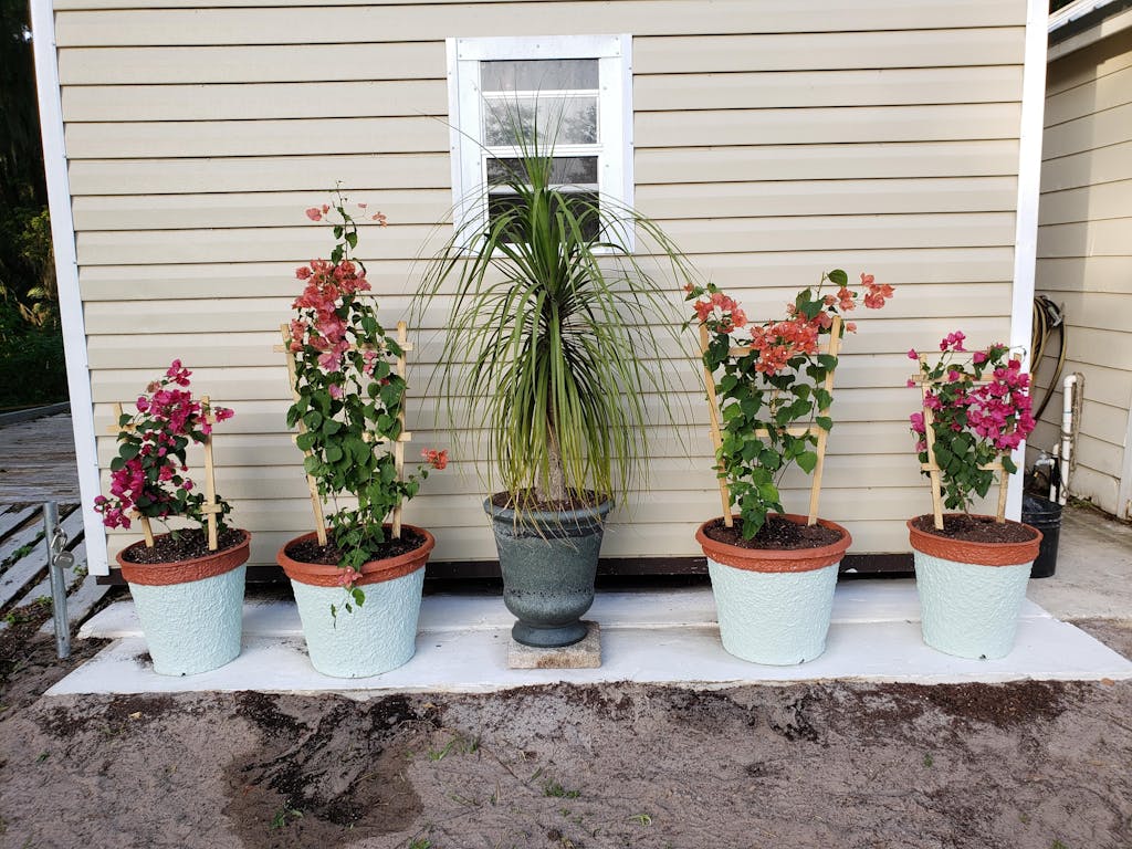 Western Pulp Large Containers – Greenhouse Megastore