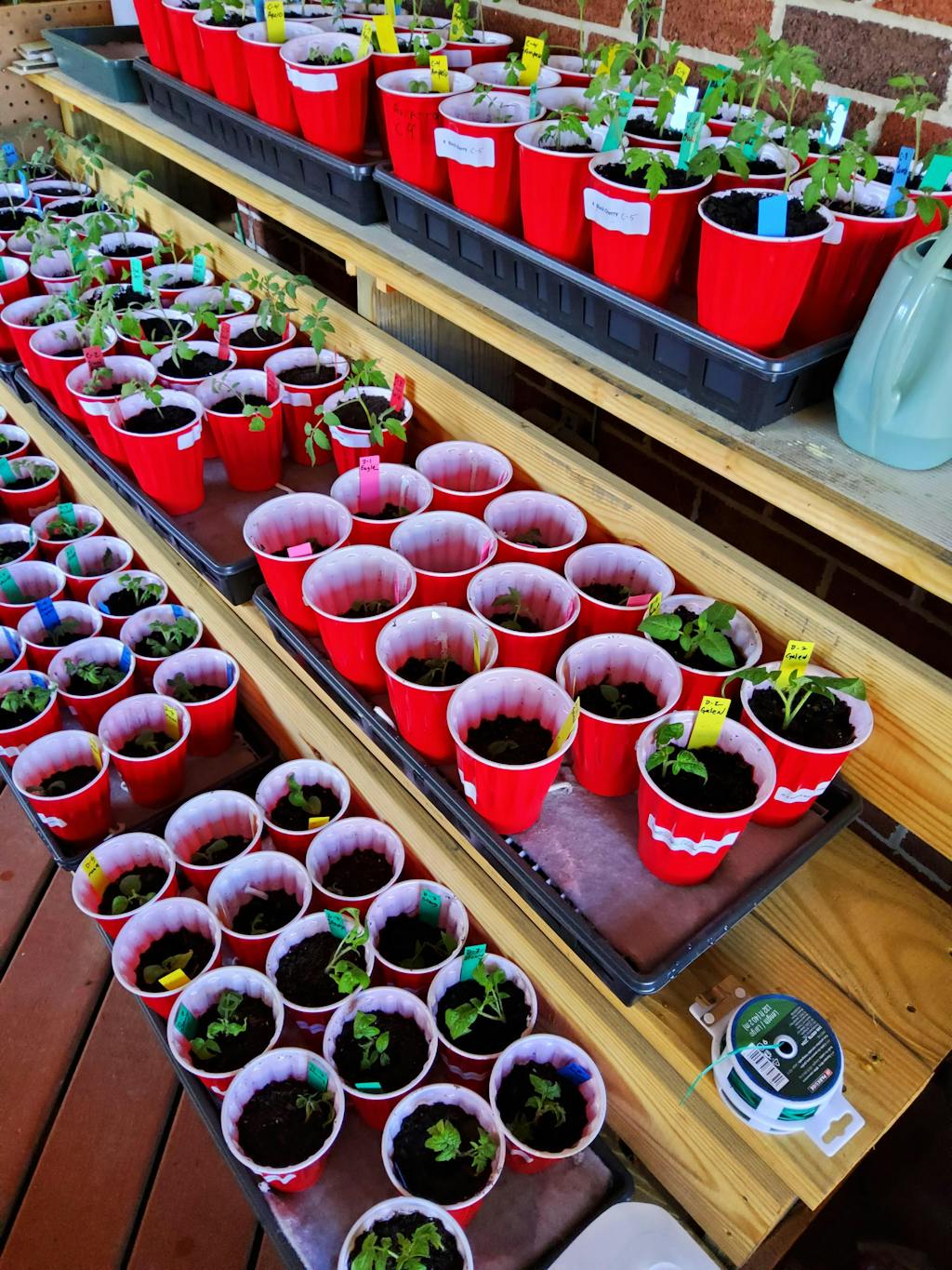 1020 Standard Web Tray - Greenhouse Megastore