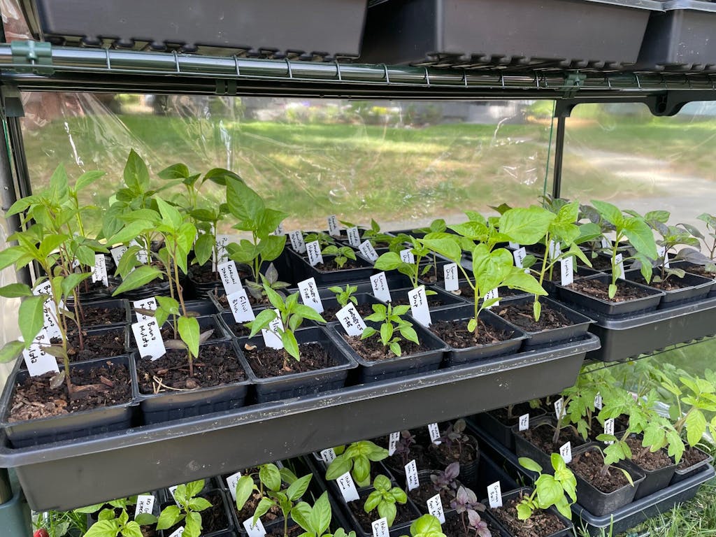 Sheet Pots – Greenhouse Megastore