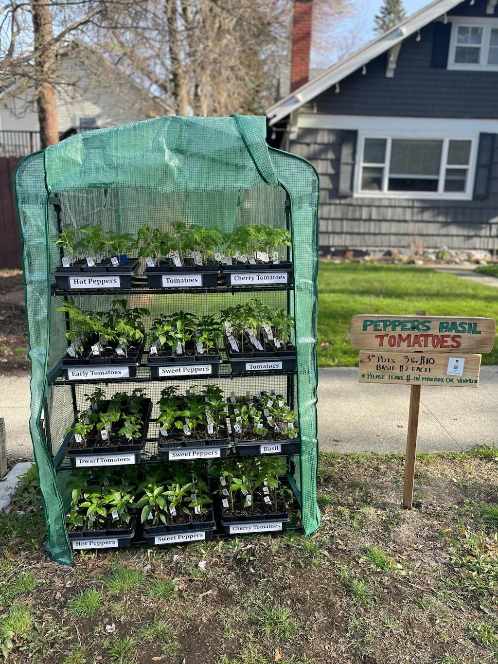 Sheet Pots – Greenhouse Megastore