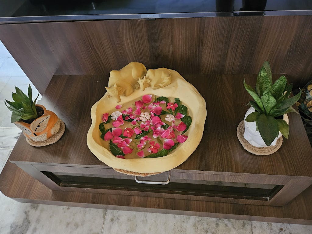 Buy Sangu Uruli Online | Conch decor – Greymode