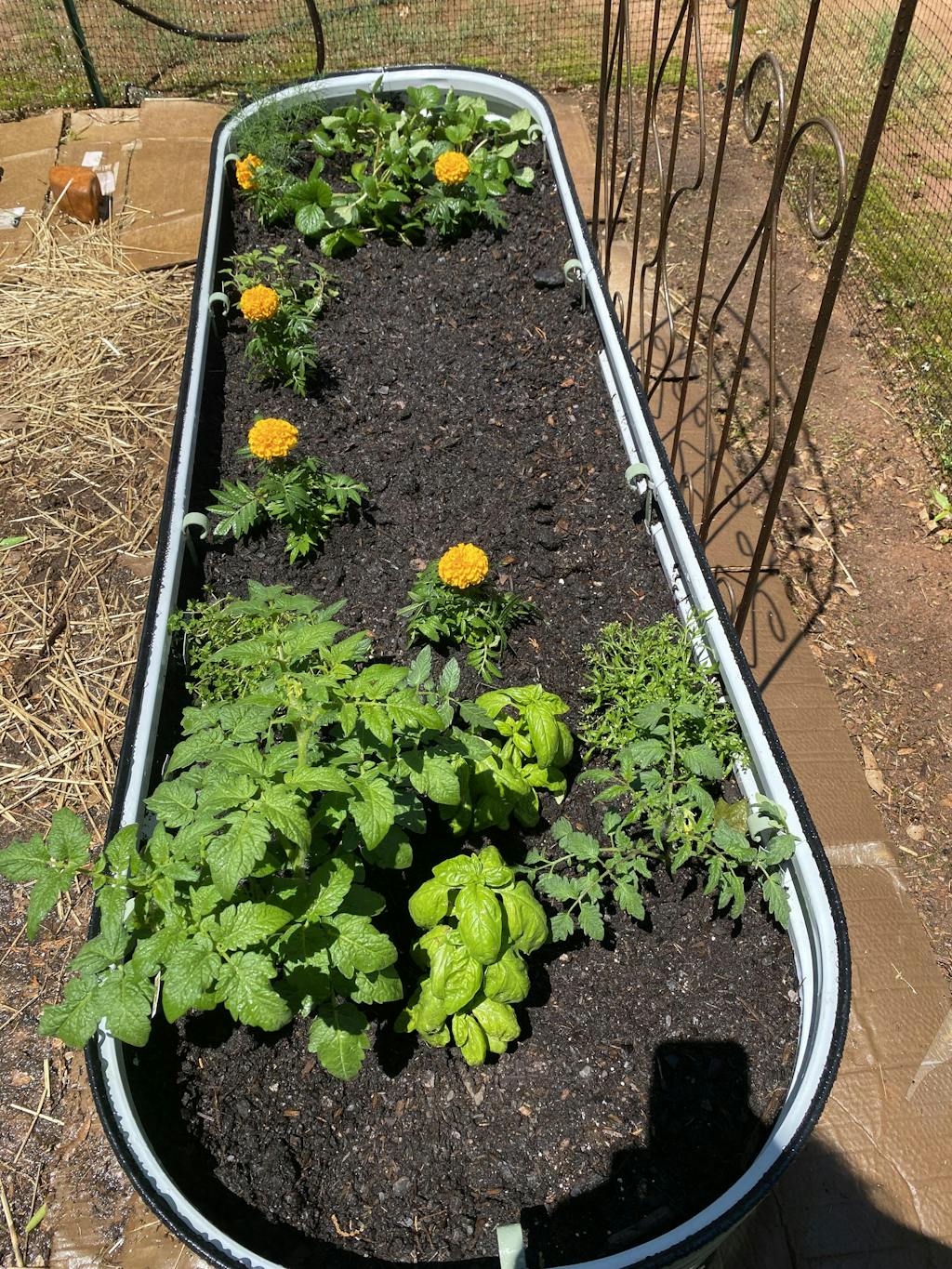 17" Tall 6 In 1 "No Tools Needed" Metal Raised Garden Bed Kit - Gro ...