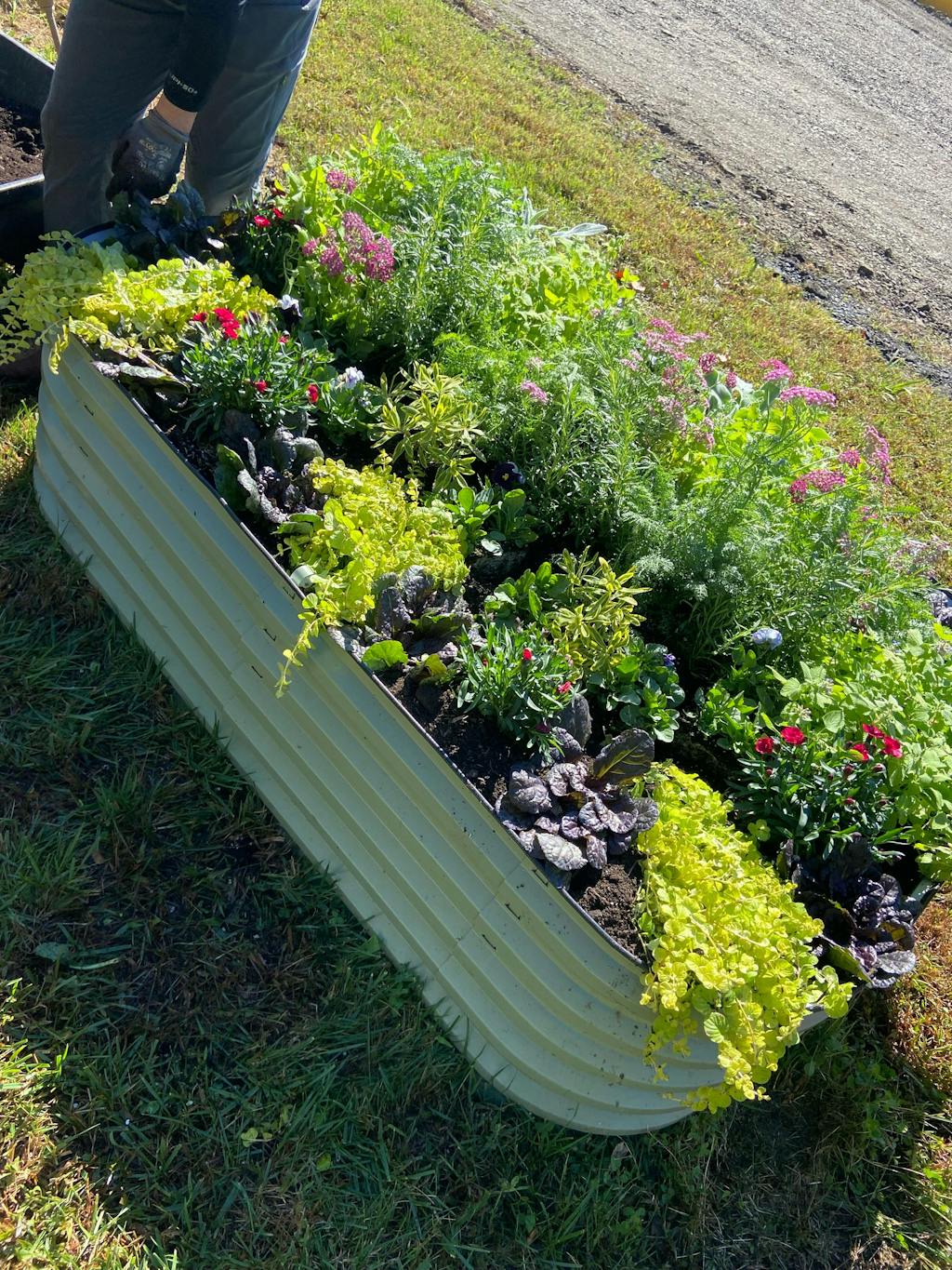 17" Tall 6 In 1 "No Tools Needed" Metal Raised Garden Bed Kit - Gro ...