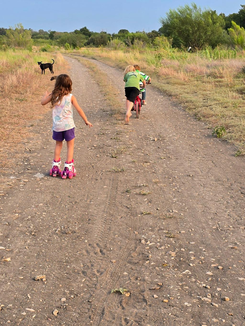 Reusable Grooved Handwriting Workbooks for Kids With Disappearing Ink ...