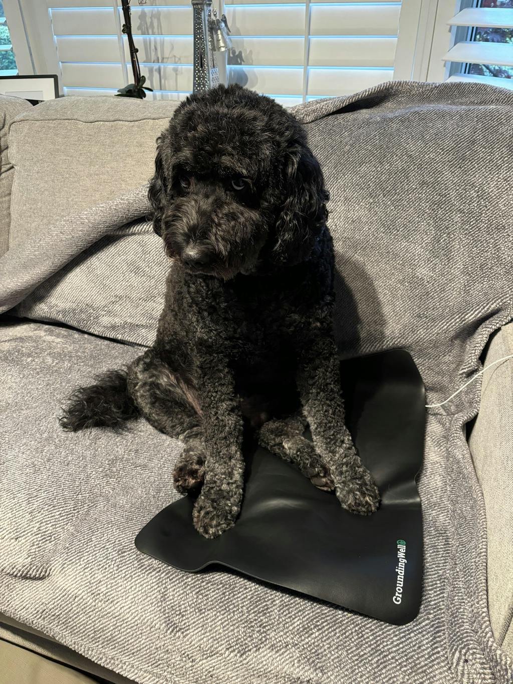 GroundingWell™ Mat | Earthing Mat | GroundingWell