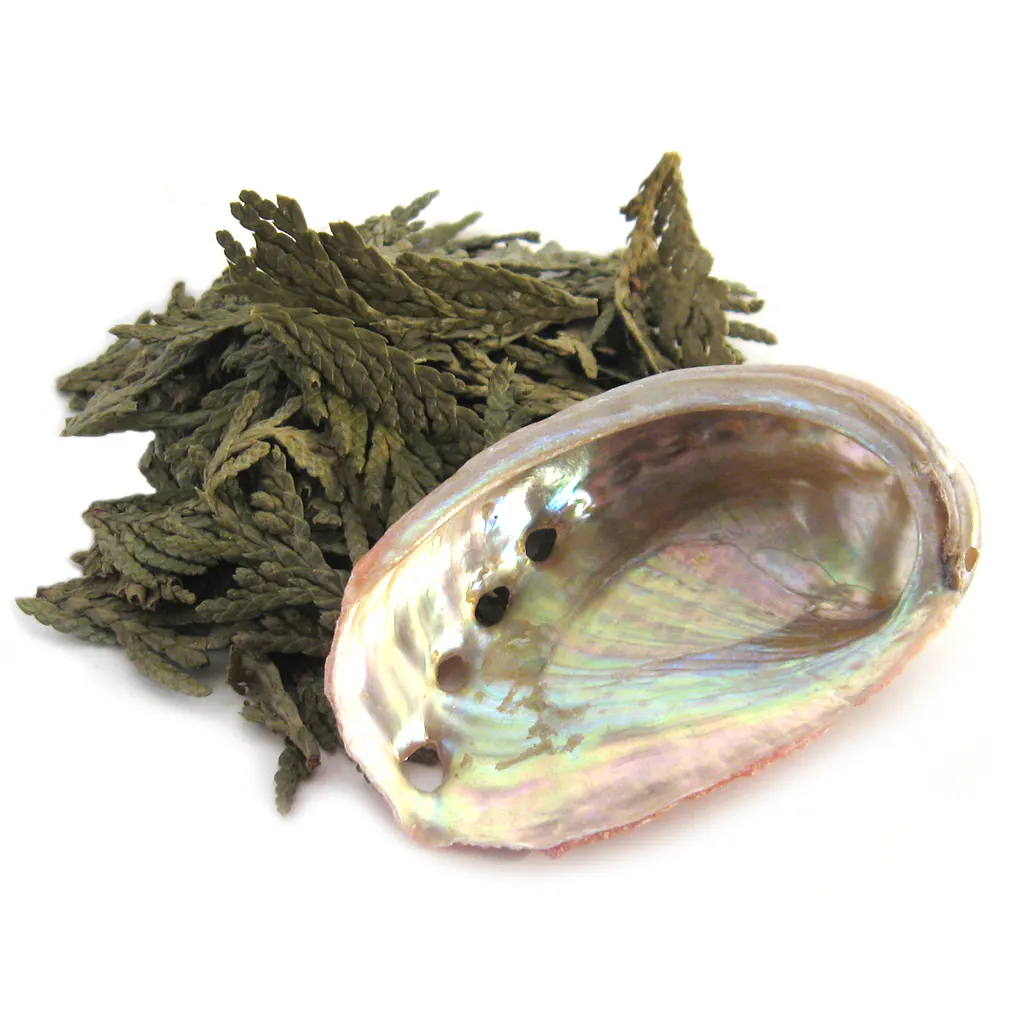 Loose Cedar with Mini Abalone Shell – Grove and Grotto