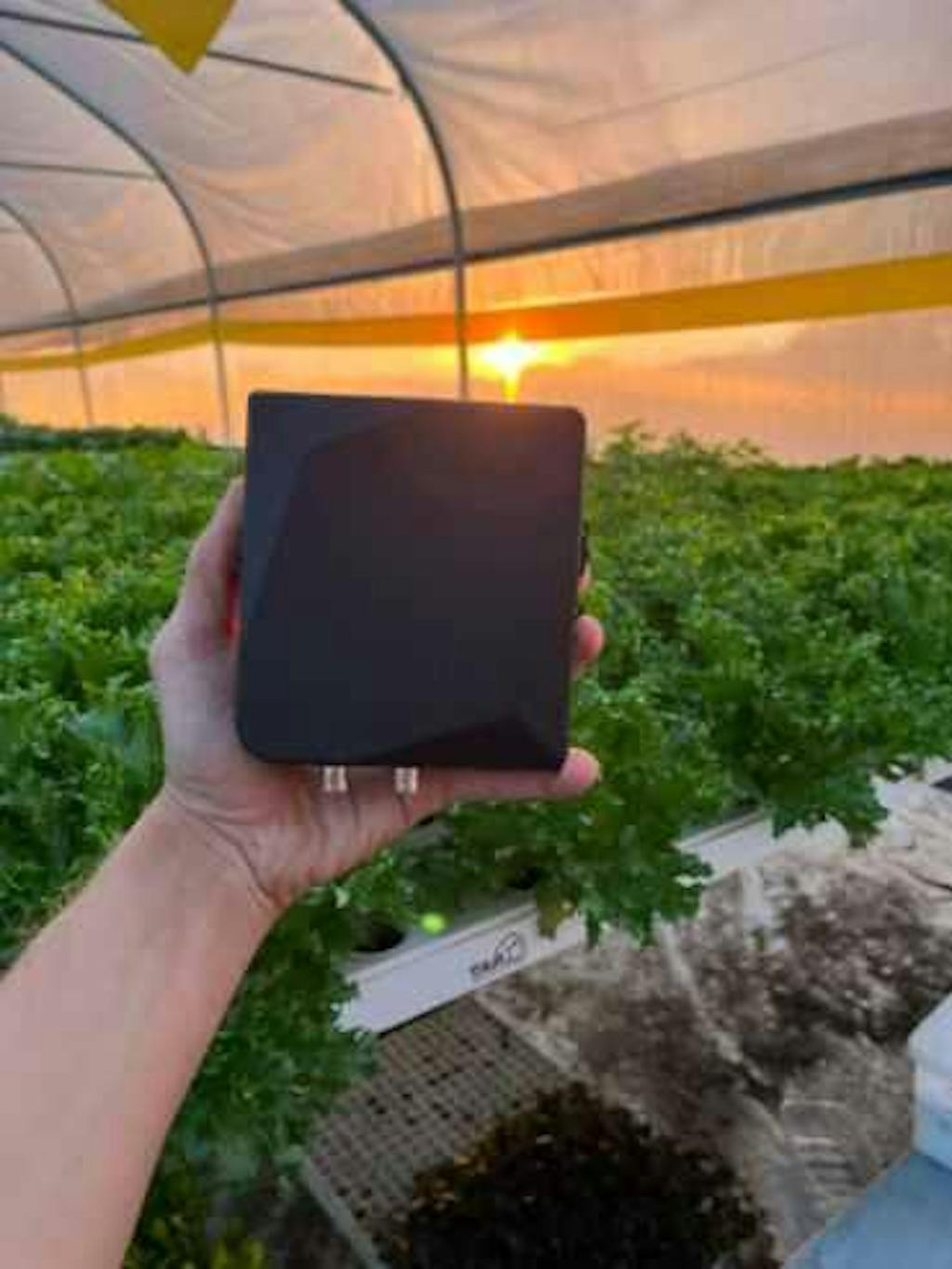 Growee Nutrient Doser - Smart Dosing With EC/ PPM Control