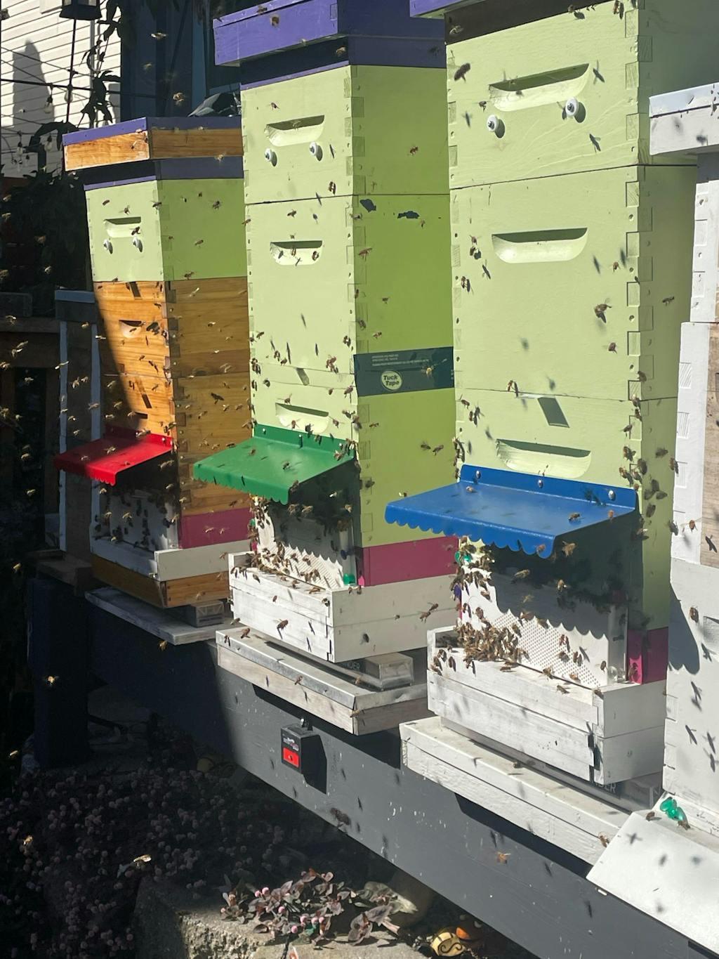 Guardian Beekeeping Gloves| Guardian Bee Apparel