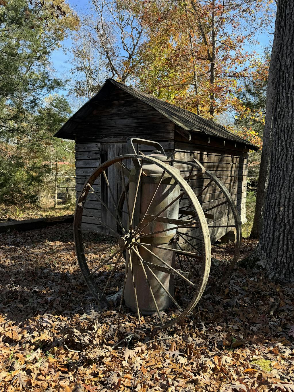 Sandhills Sauntering – Guess Where Trips®