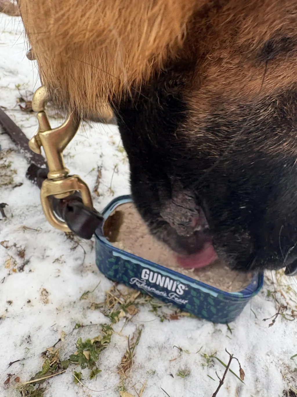 ARCTIC CHAR & COD LIVER RECIPE W/ KELP FOOD TOPPER FOR DOGS – Gunnis Pet