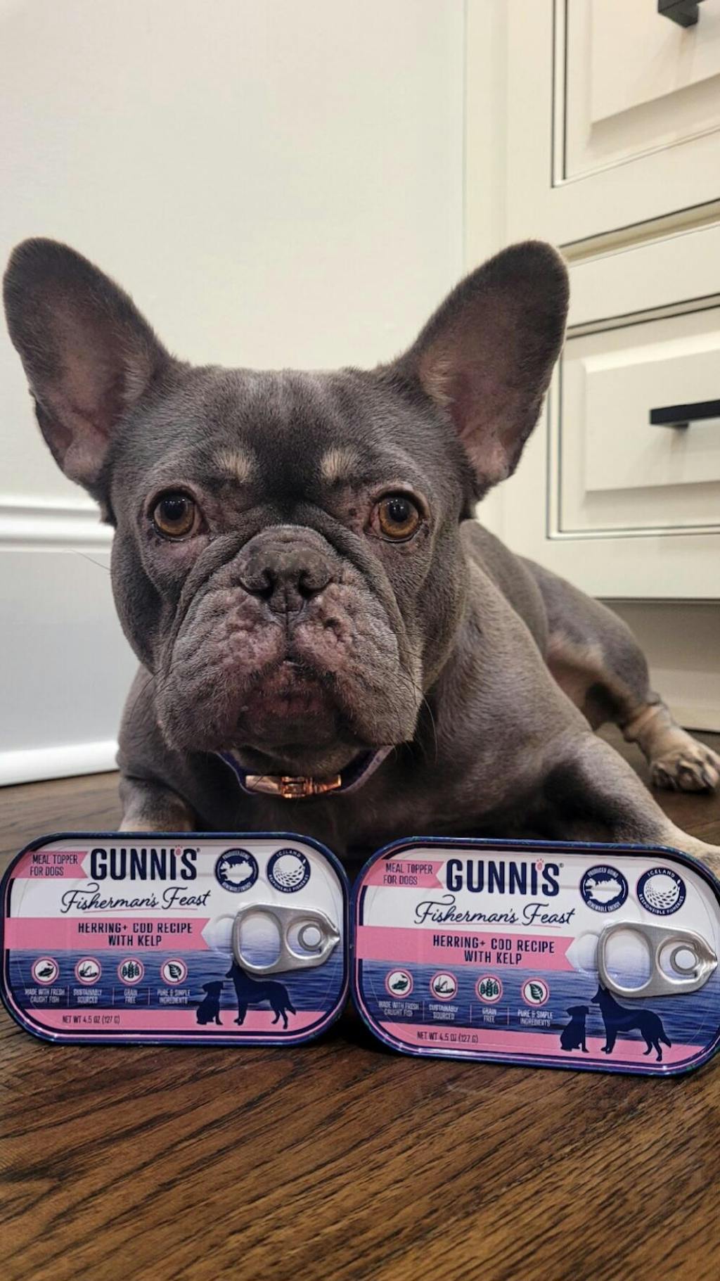 HERRING & COD RECIPE W/ KELP FOOD TOPPER FOR DOGS – Gunnis Pet