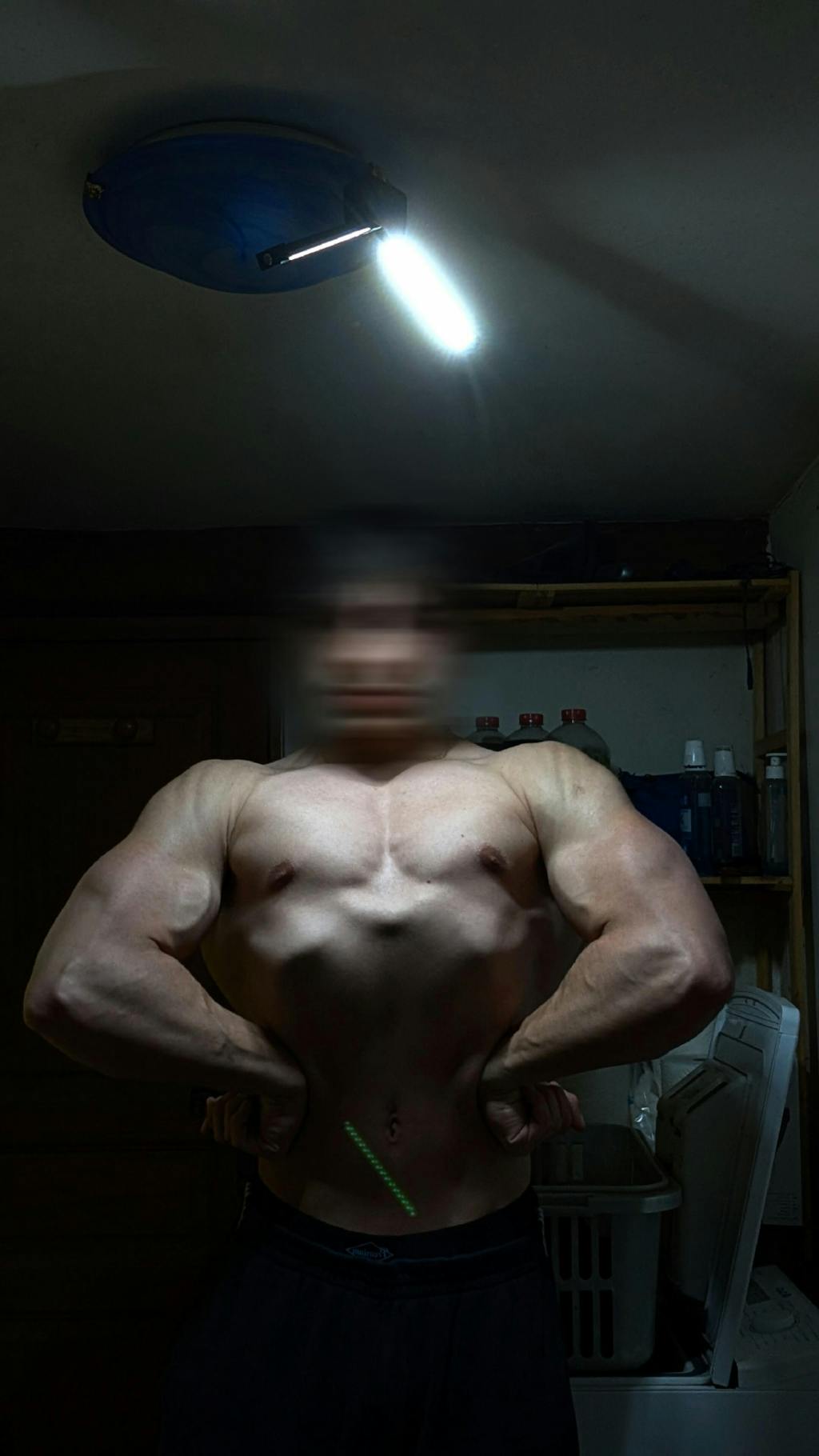 Gymlamp: Magnetic Gym-Lamp for Perfect Posing & Photography – GymLamp