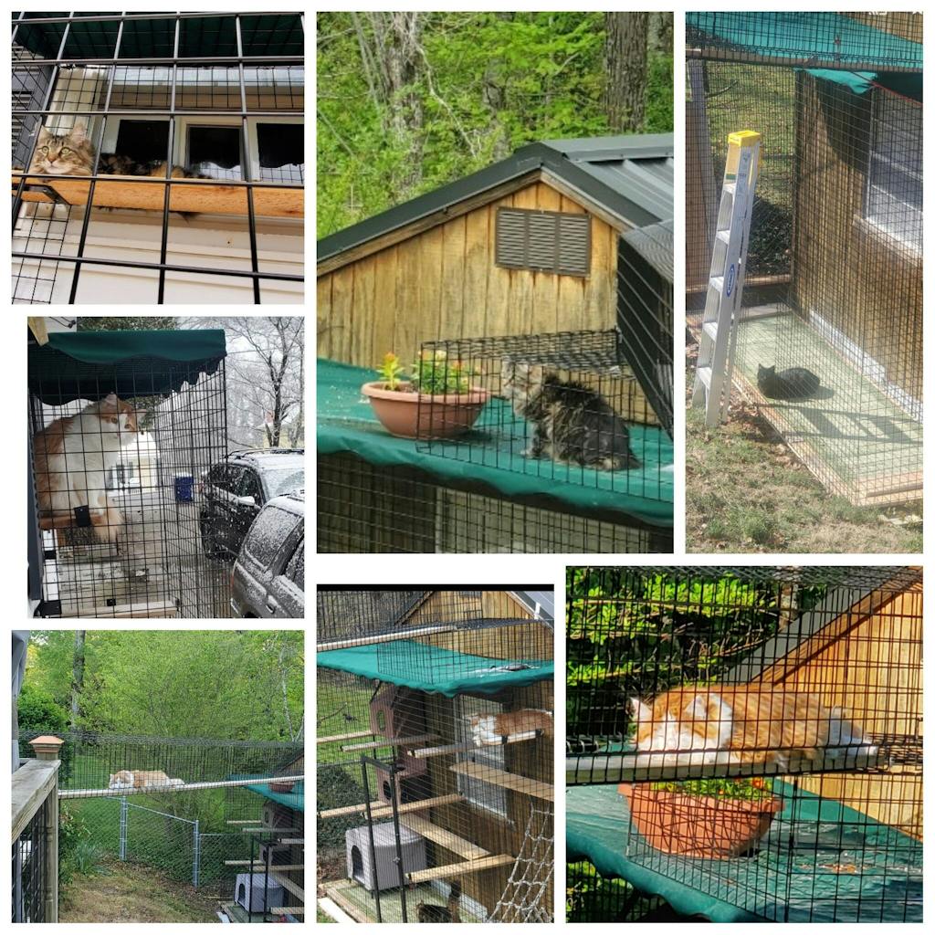 Planning Your Enclosure - Habitat Haven