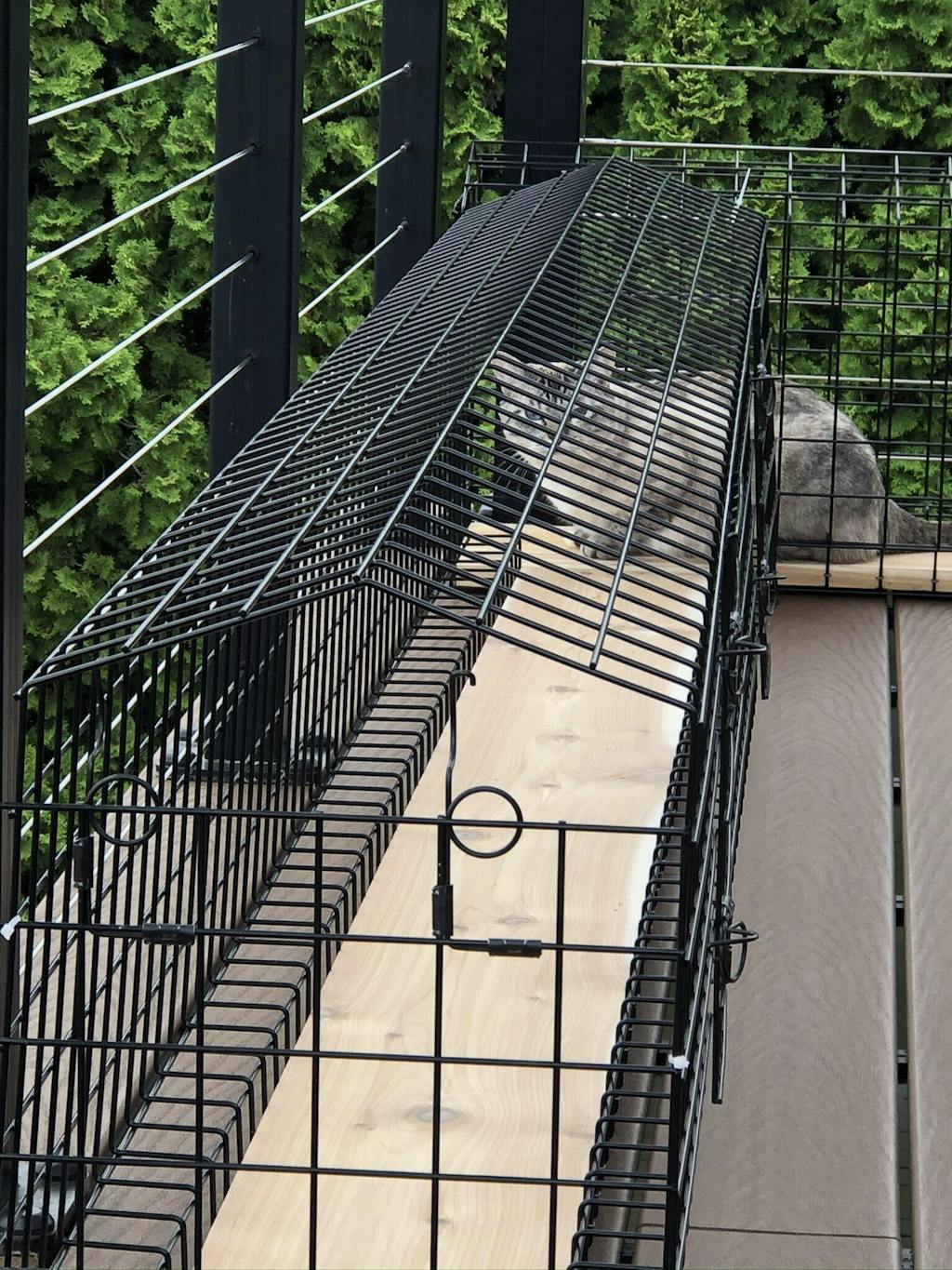 Catio Outdoor Cat Enclosures | Cat Runs by Habitat Haven