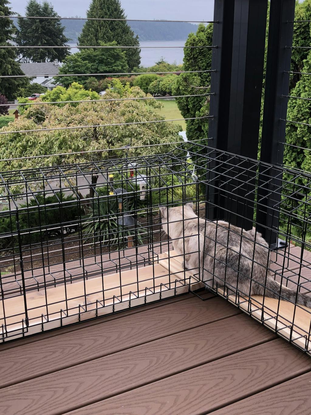 Catio Outdoor Cat Enclosures | Cat Runs by Habitat Haven