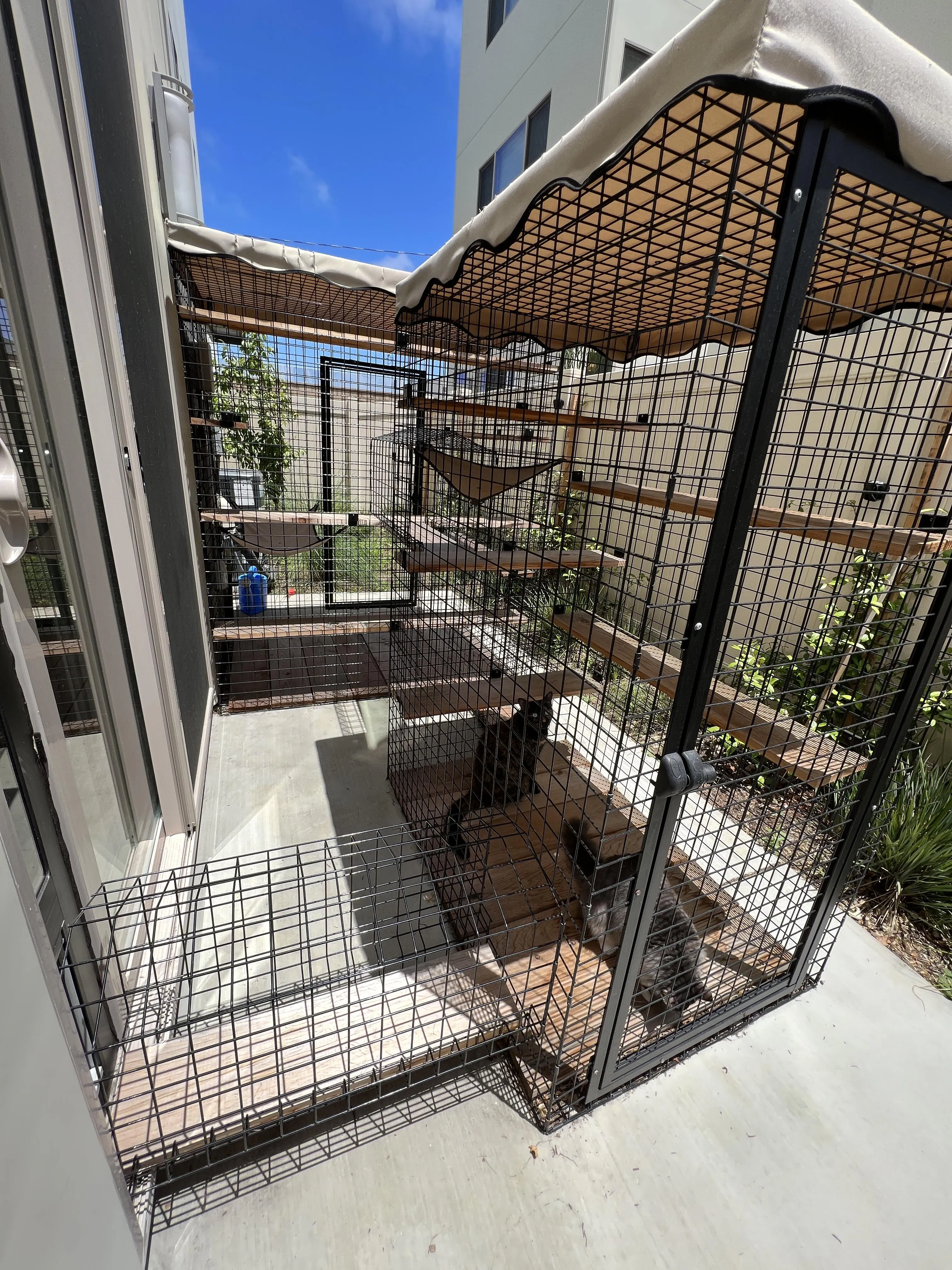 Catio Outdoor Cat Enclosures | Cat Runs by Habitat Haven