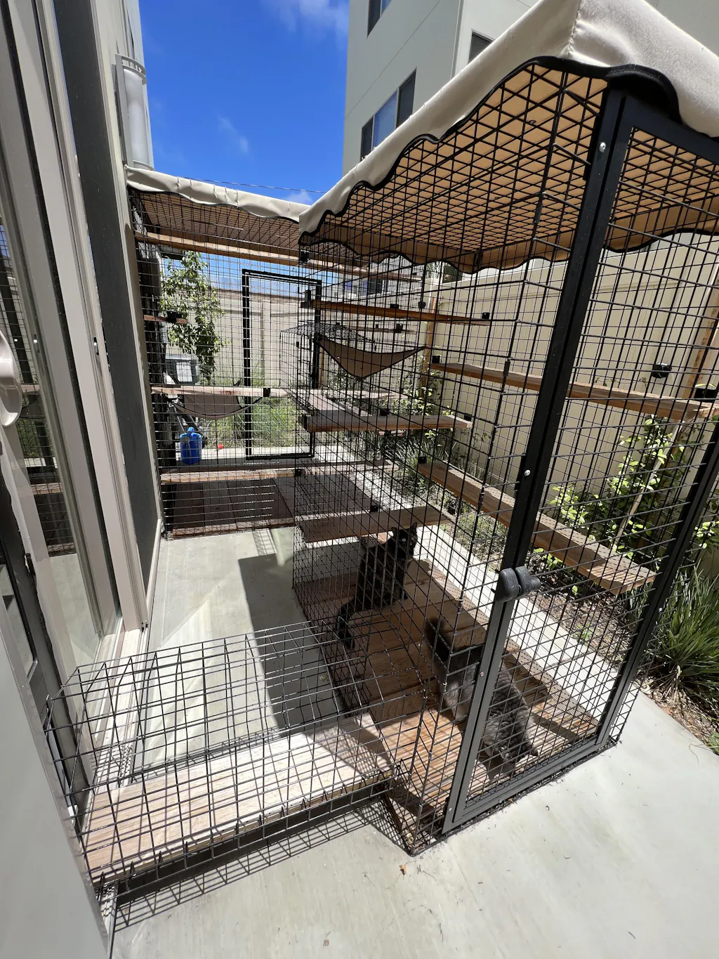 Cat Fences | Safe Cat-Proof Fences | Habitat Haven