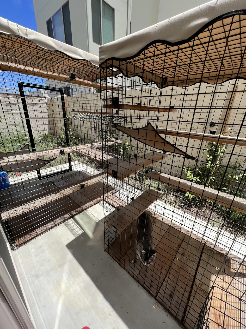 Cat Fences | Safe Cat-Proof Fences | Habitat Haven